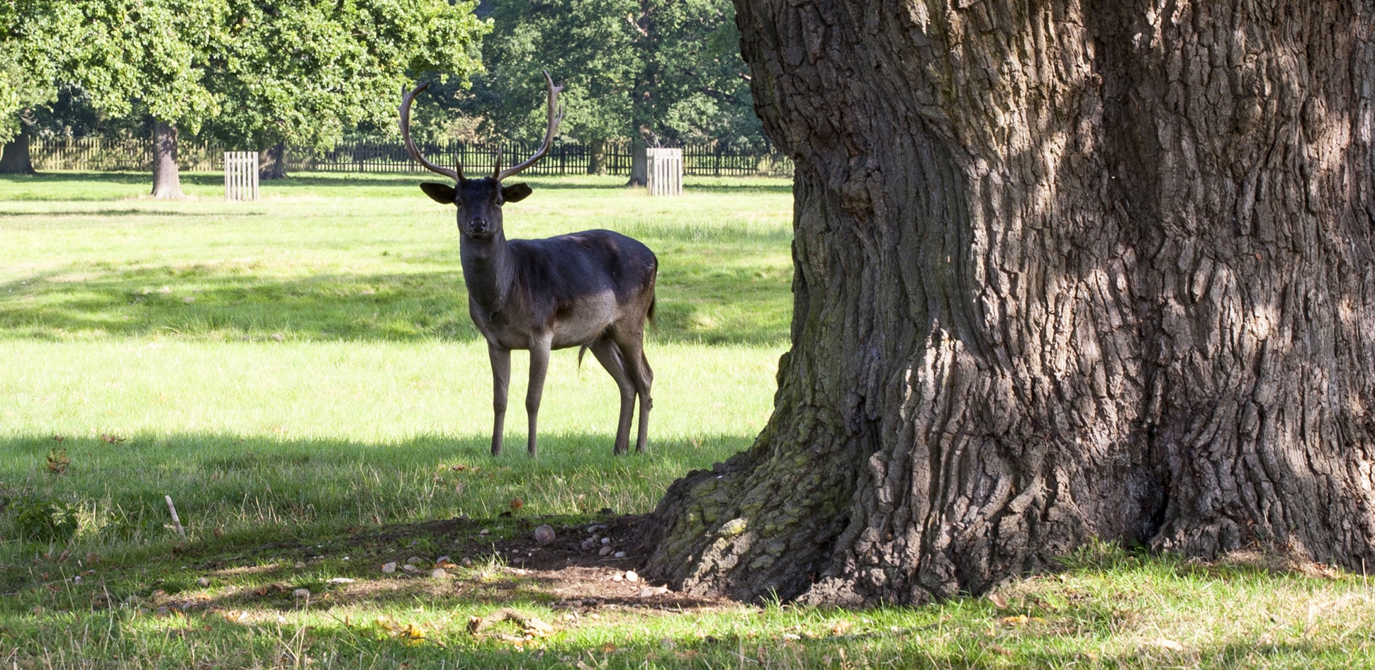 Home - Packington Estate Packington Estate