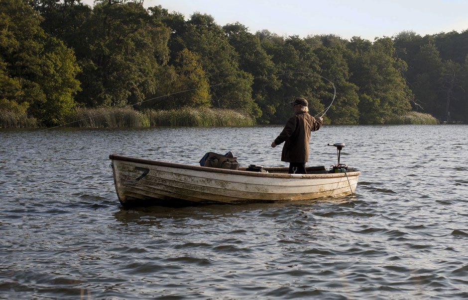 Home - Packington Estate Packington Estate